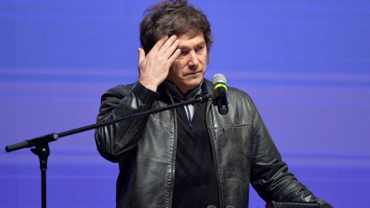 Elecciones 2025: La Libertad Avanza enfrenta una dura caída en ...