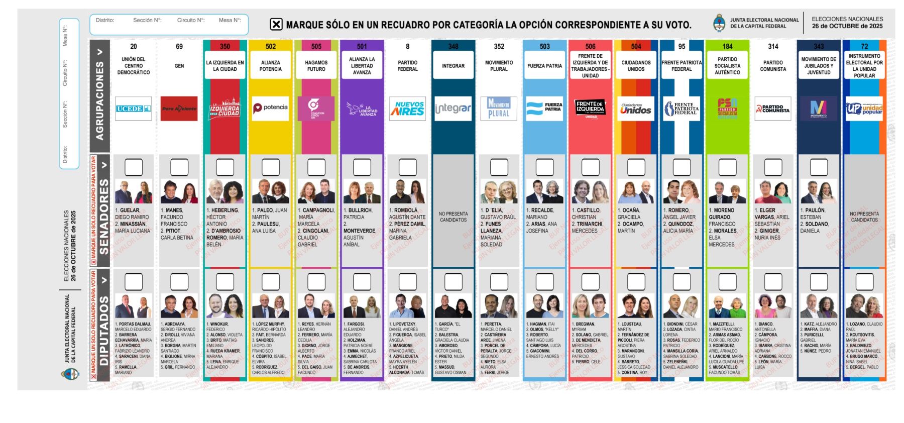 Elecciones 2025: La Libertad Avanza enfrenta una dura caída en ...